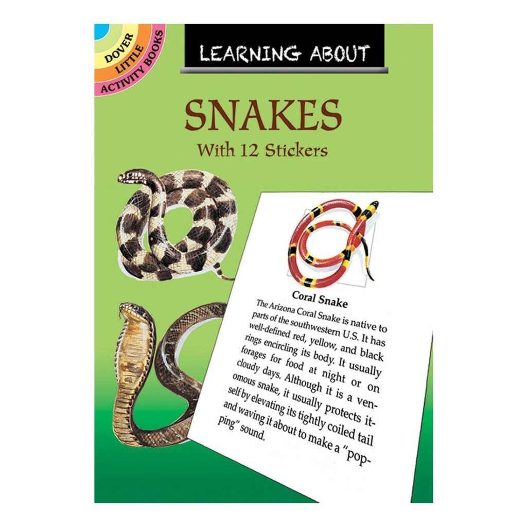 Learning About Snakes – Geppetto's Toy Box